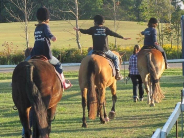 TEAD Therapeutic Riding Centre - List of programs